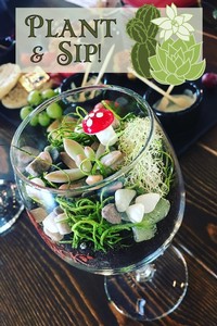 Adirondack Winery - Event - Plant & Sip